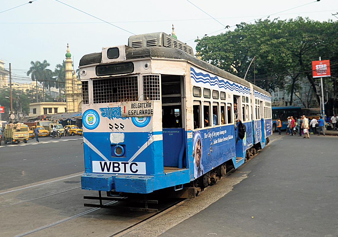 trams.jpg